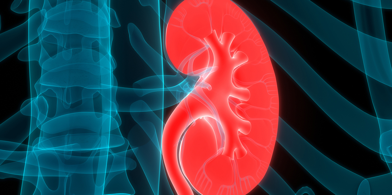 Big study answers treatment question for little known kidney condition ...