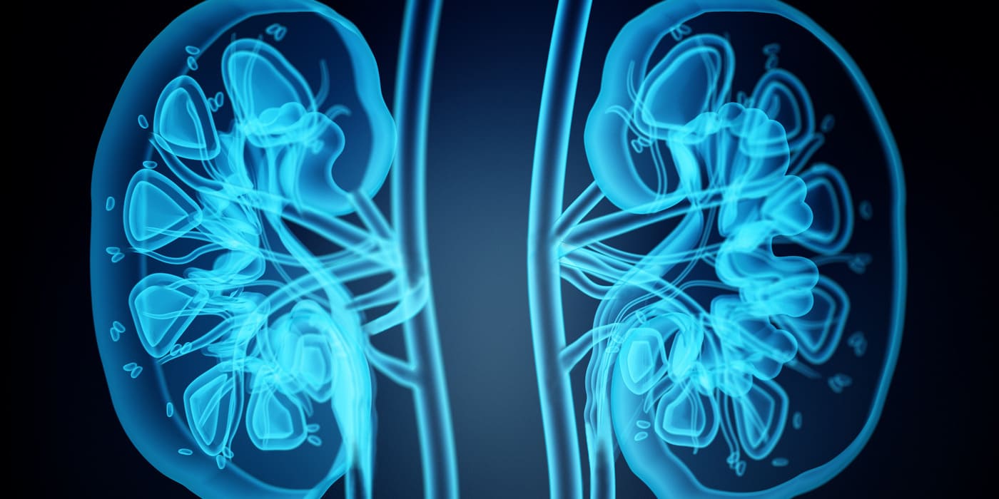 SONG-LP: An easy-to-use tool for enhanced lives after kidney ...